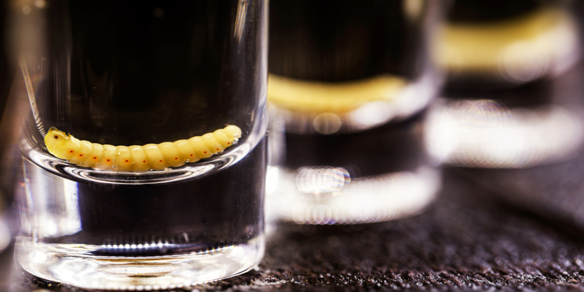 Â¿Por quÃ© el mezcal le ponen un gusano dentro de la botella ...