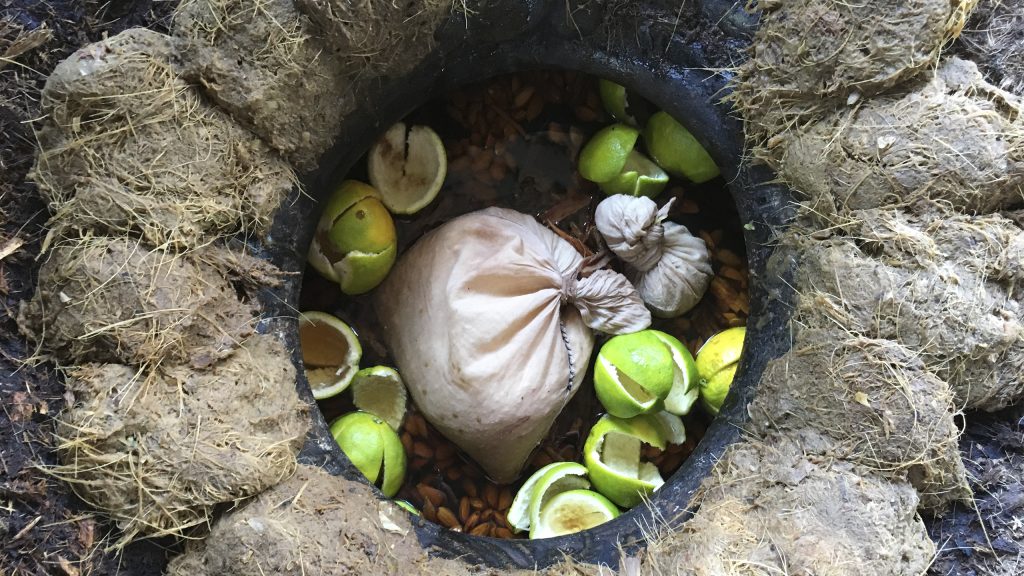 El curioso mezcal de pechuga - Destilando México